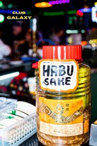 Boracay Nightlife • A Complete Guide [2025 October Update]